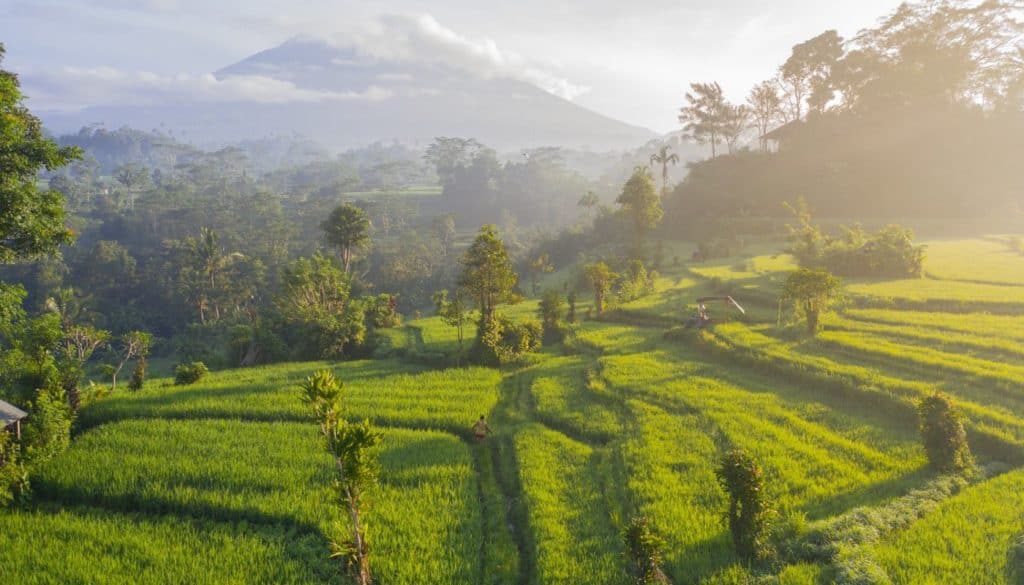 A Guide to the BEST Time to Visit Bali | Monthly Breakdown