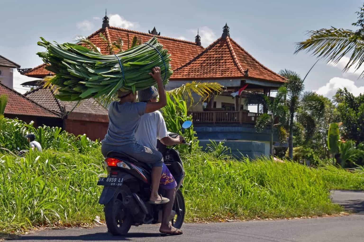 Top Tips and Tricks for Driving in Bali | INSIDER Guide