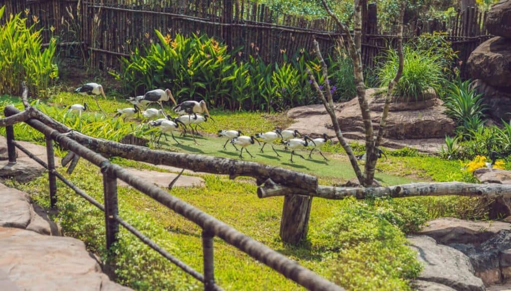 Full Guide of the BEST Things to Do in Ubud • 2023 Edition