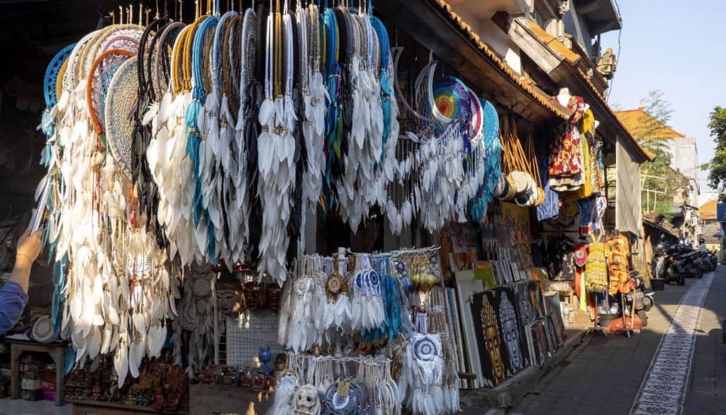 HUGE GUIDE for Backpacking in Ubud | 2024