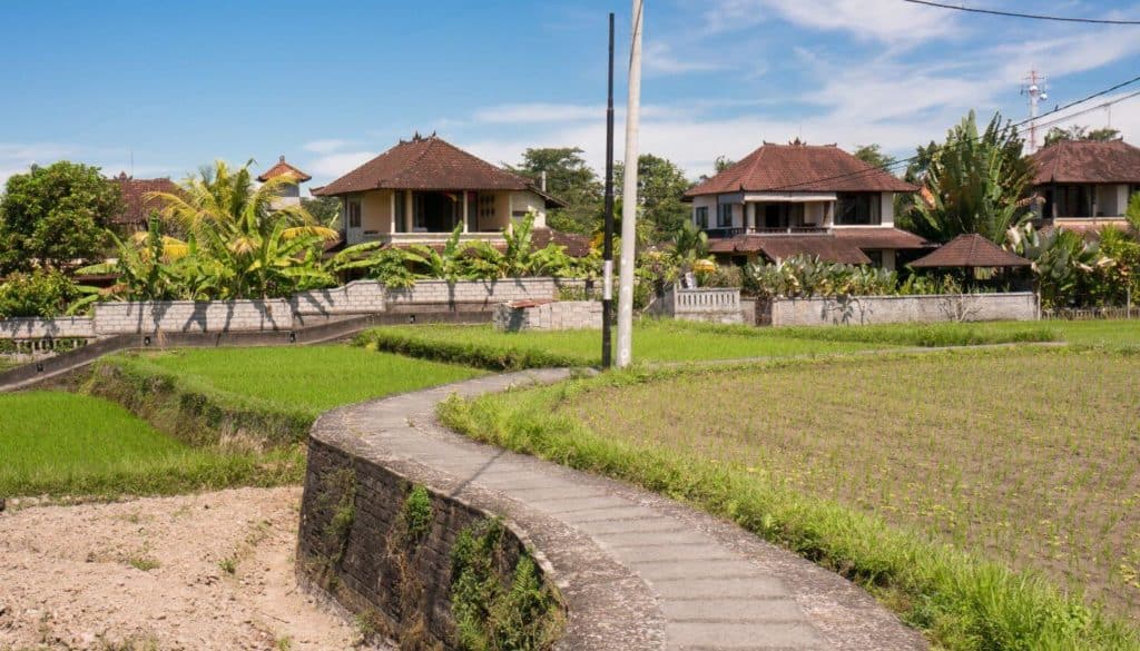 HUGE GUIDE for Backpacking in Ubud | 2024