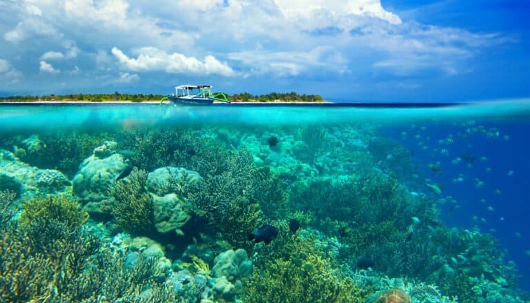 A HUGE Guide for Island Hopping Around Bali