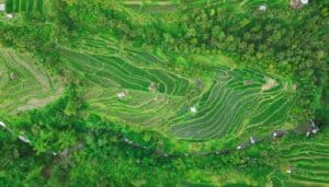 8 STUNNING Rice Terraces in Bali to Add to Your Itinerary